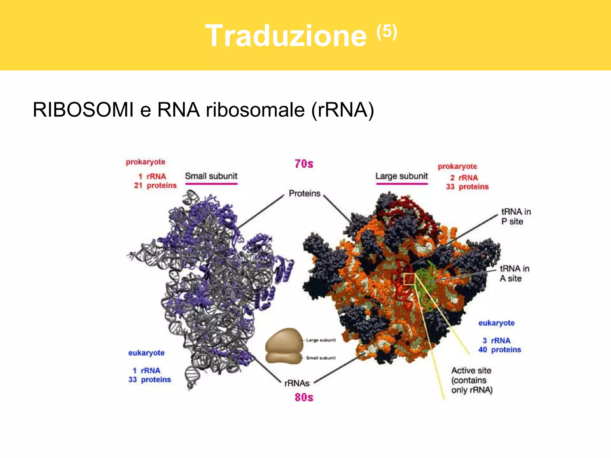 Overview on protein based biosensors | PPT