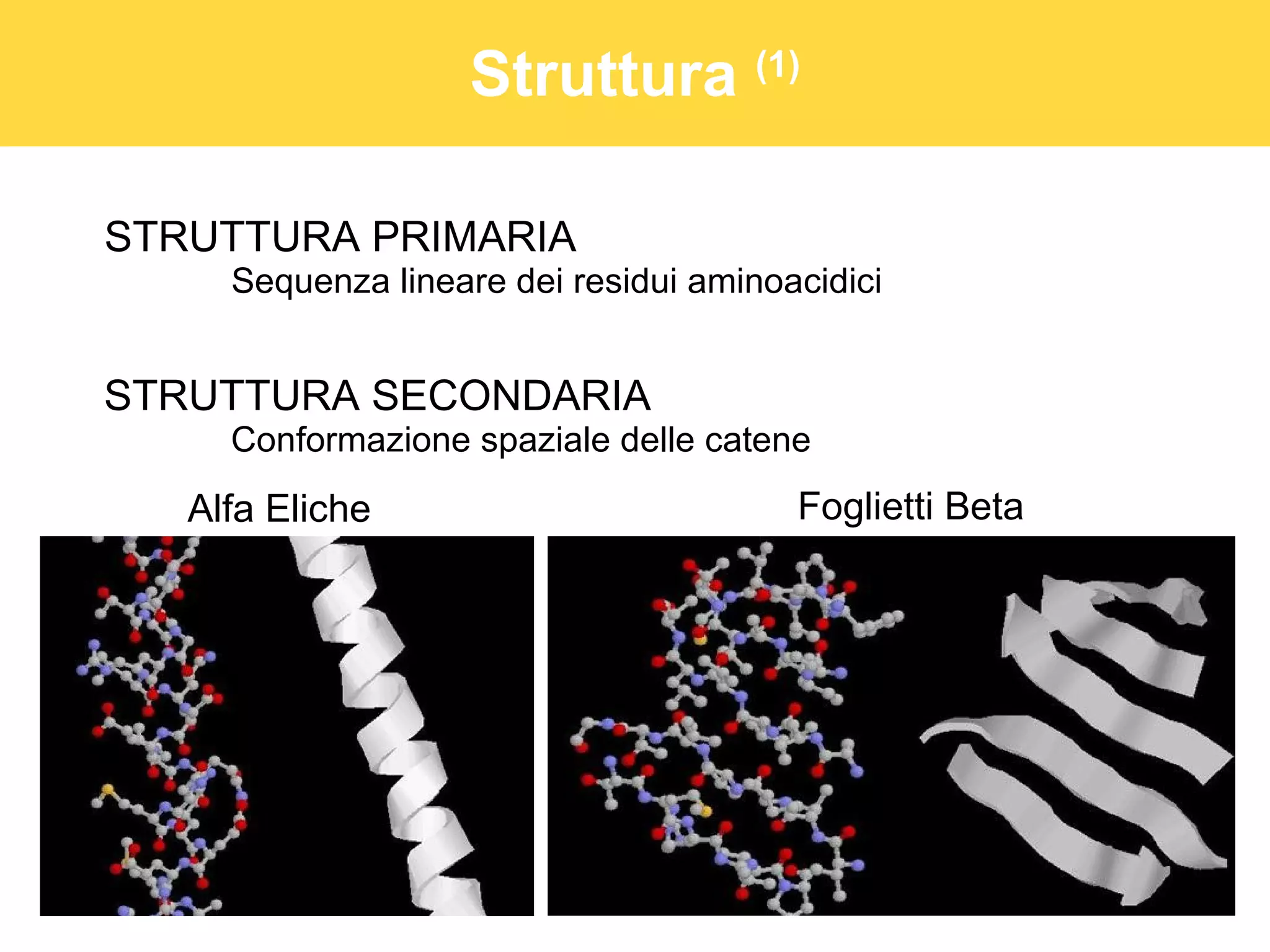 Overview on protein based biosensors | PPT