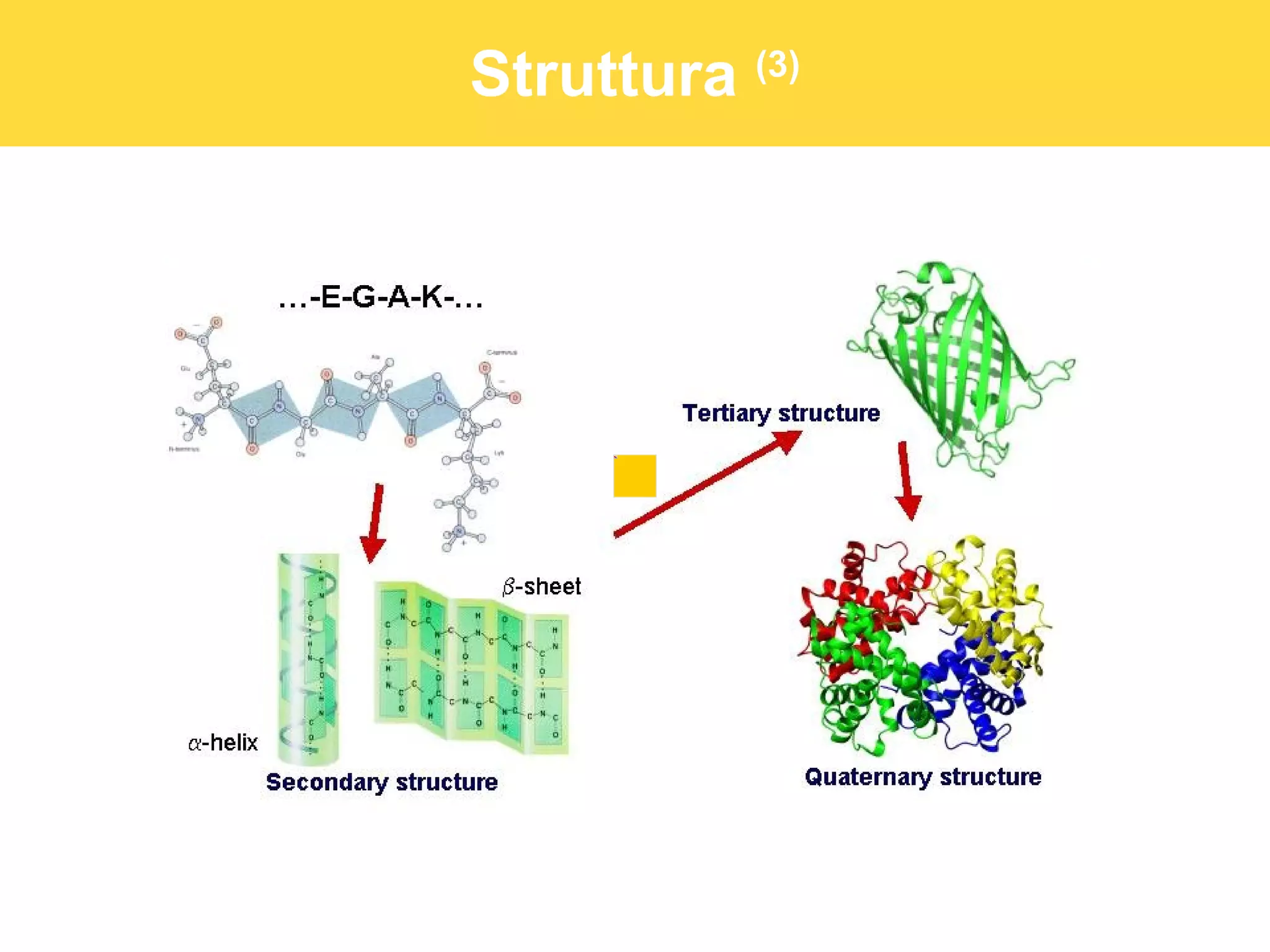 Overview on protein based biosensors | PPT