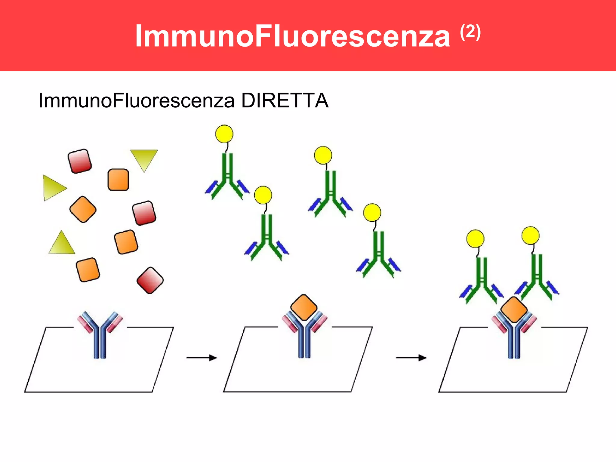 Overview on protein based biosensors | PPT