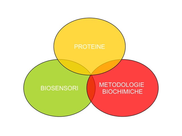 Overview on protein based biosensors | PPT