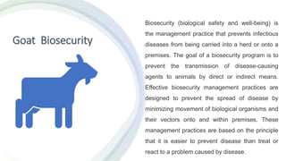 Lesson plan-goat-production-management-group-3 | PPTX