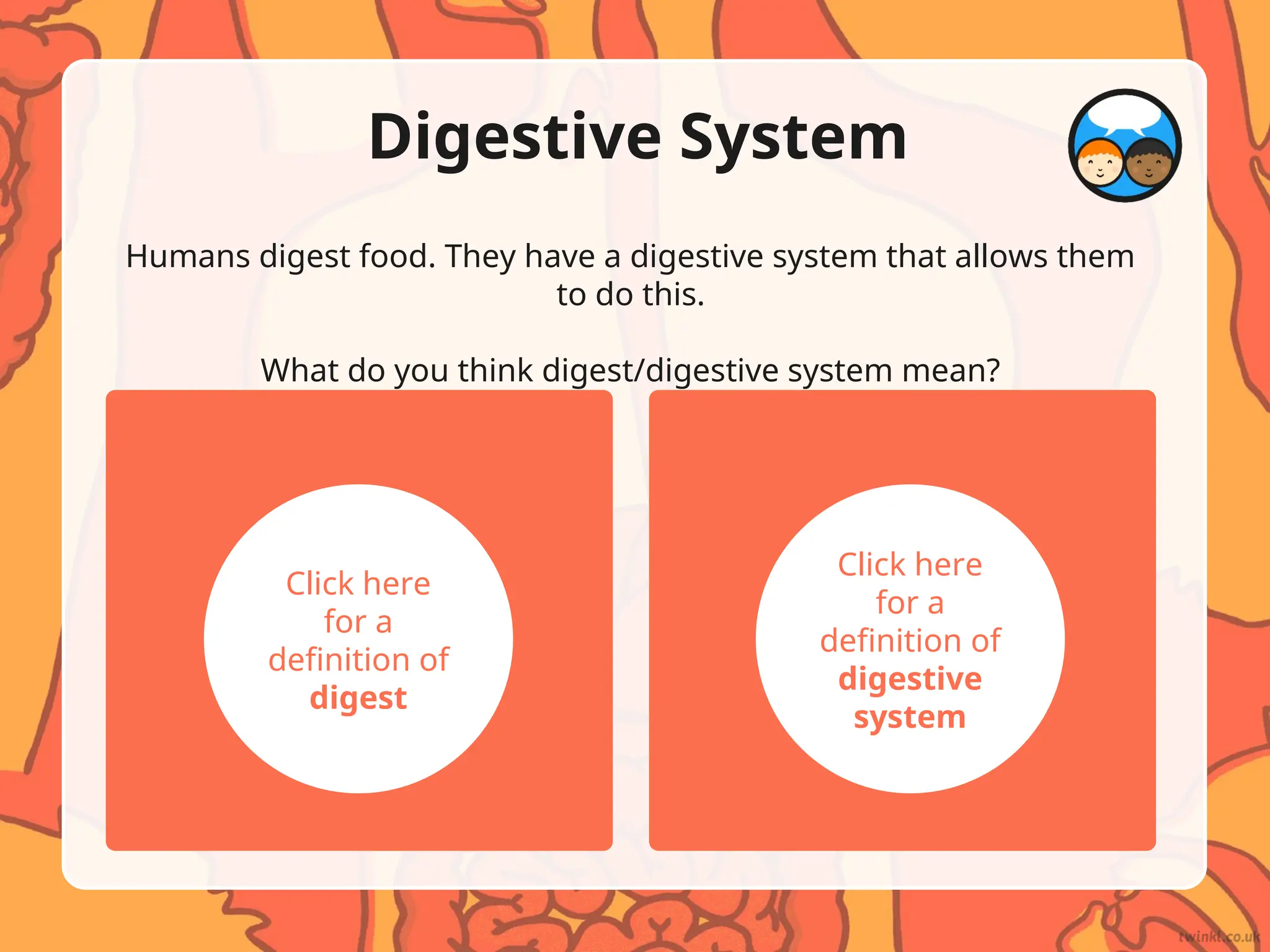 lesson-presentation-digestive-system-parts.ppt