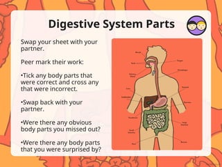 lesson-presentation-digestive-system-parts.ppt