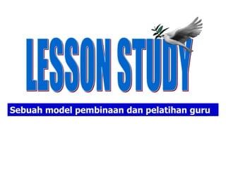 lesson-study-41.ppt