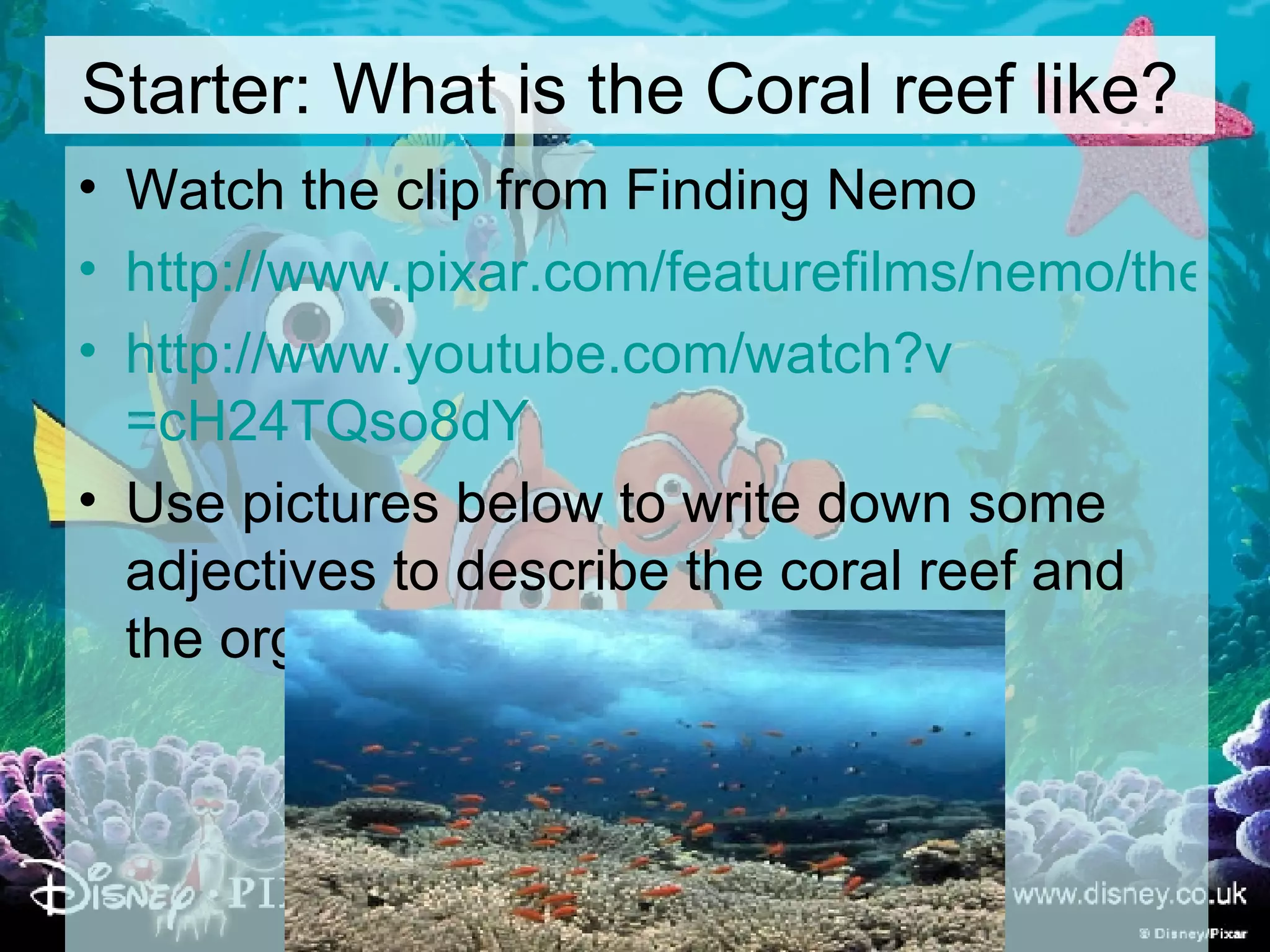 Lesson Three Coral Reefs | PPT