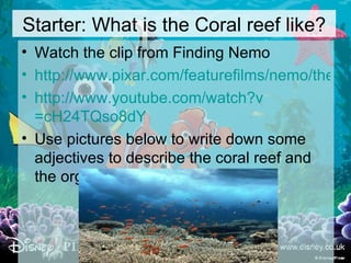 Lesson Three Coral Reefs | PPT