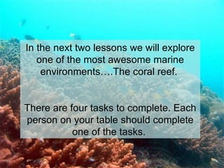 Lesson Three Coral Reefs | PPT