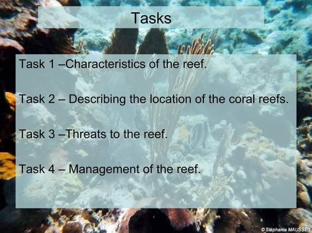 Lesson Three Coral Reefs | PPT