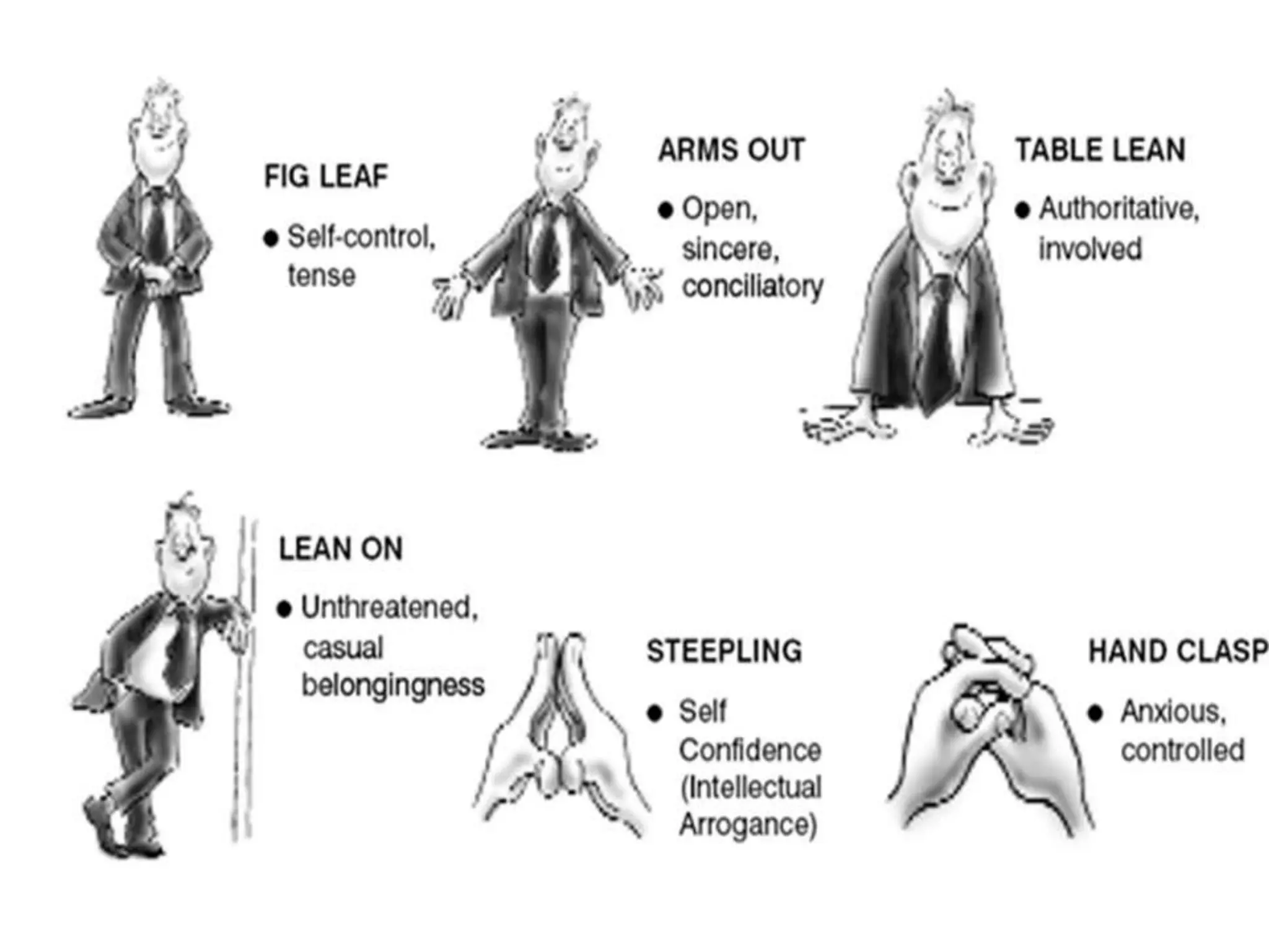 Social Perception (Perceiving and Understanding Others) | PPTX
