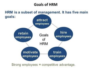 Foundations of Human Resources Management | PPTX