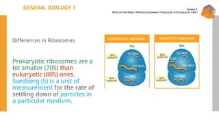 Grade 11 Lesson 02 General Biology 11.pptx