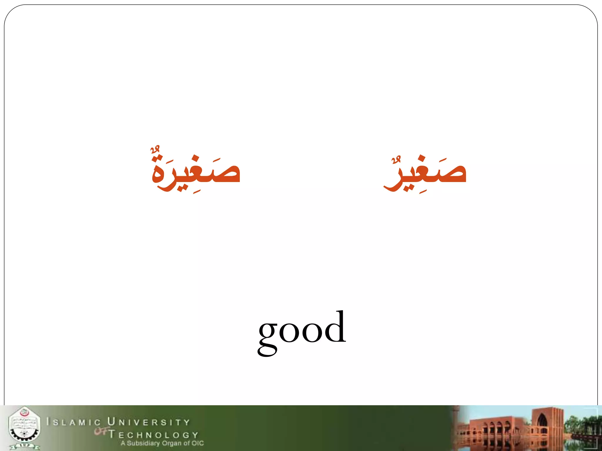 Lesson # 06 ( Use of Adjectives in Arabic) | PPTX