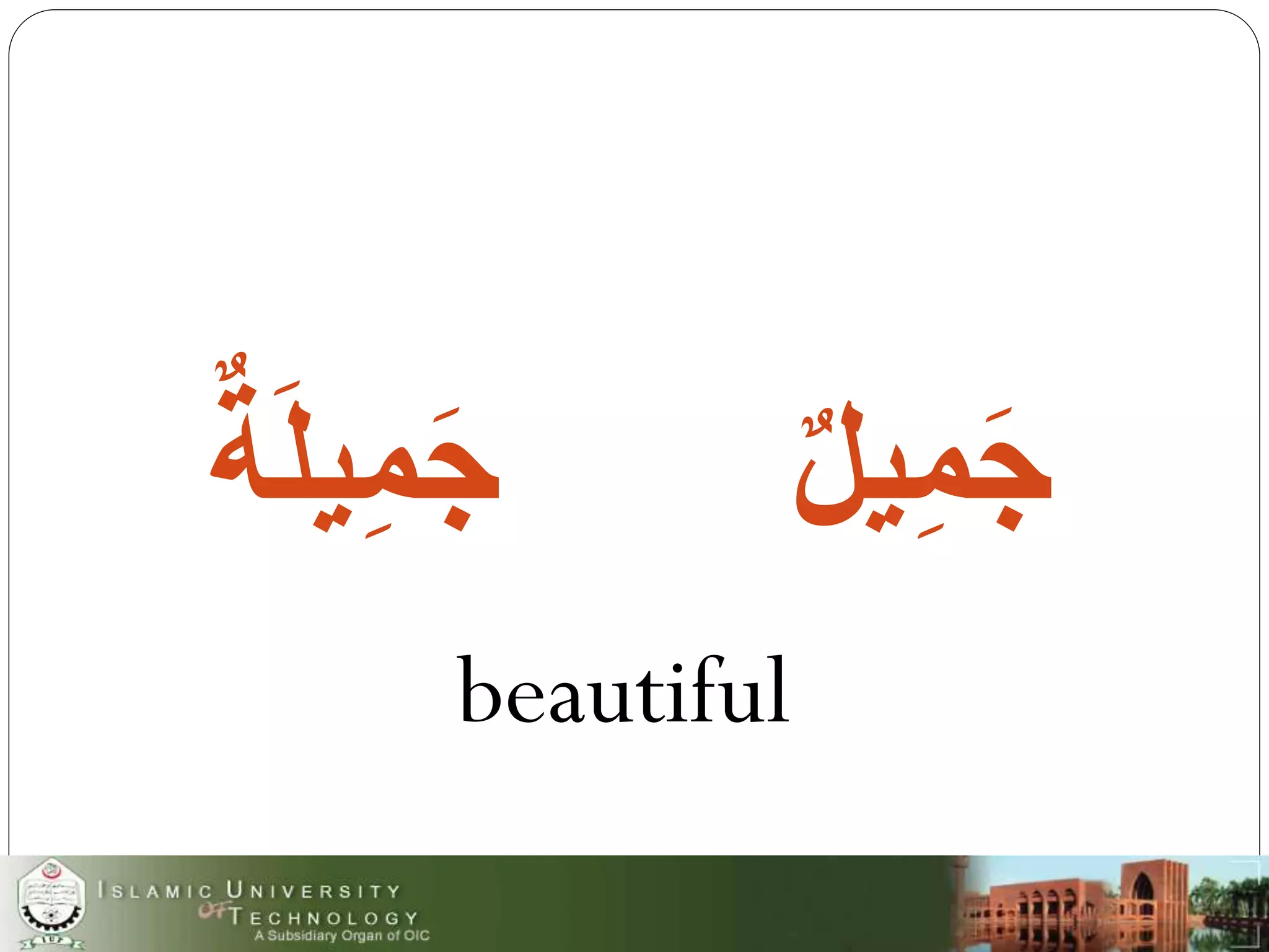 Lesson # 06 ( Use of Adjectives in Arabic) | PPT