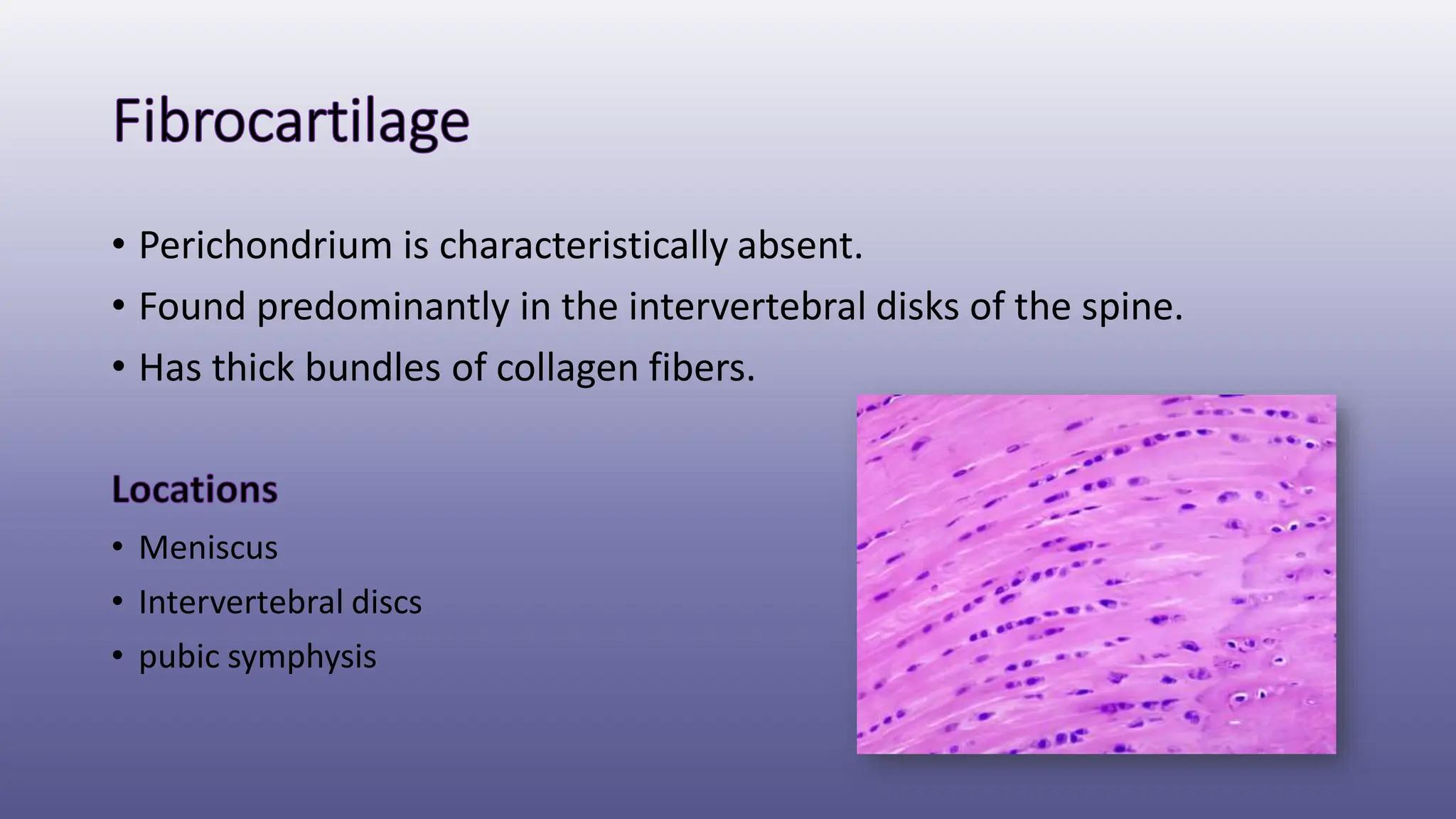 Histology of Bone - Cartilage (Connective Tissue) | PDF | Death, Injury, or Military Conflict ...