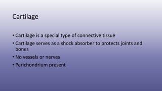 Histology of Bone - Cartilage (Connective Tissue) | PDF