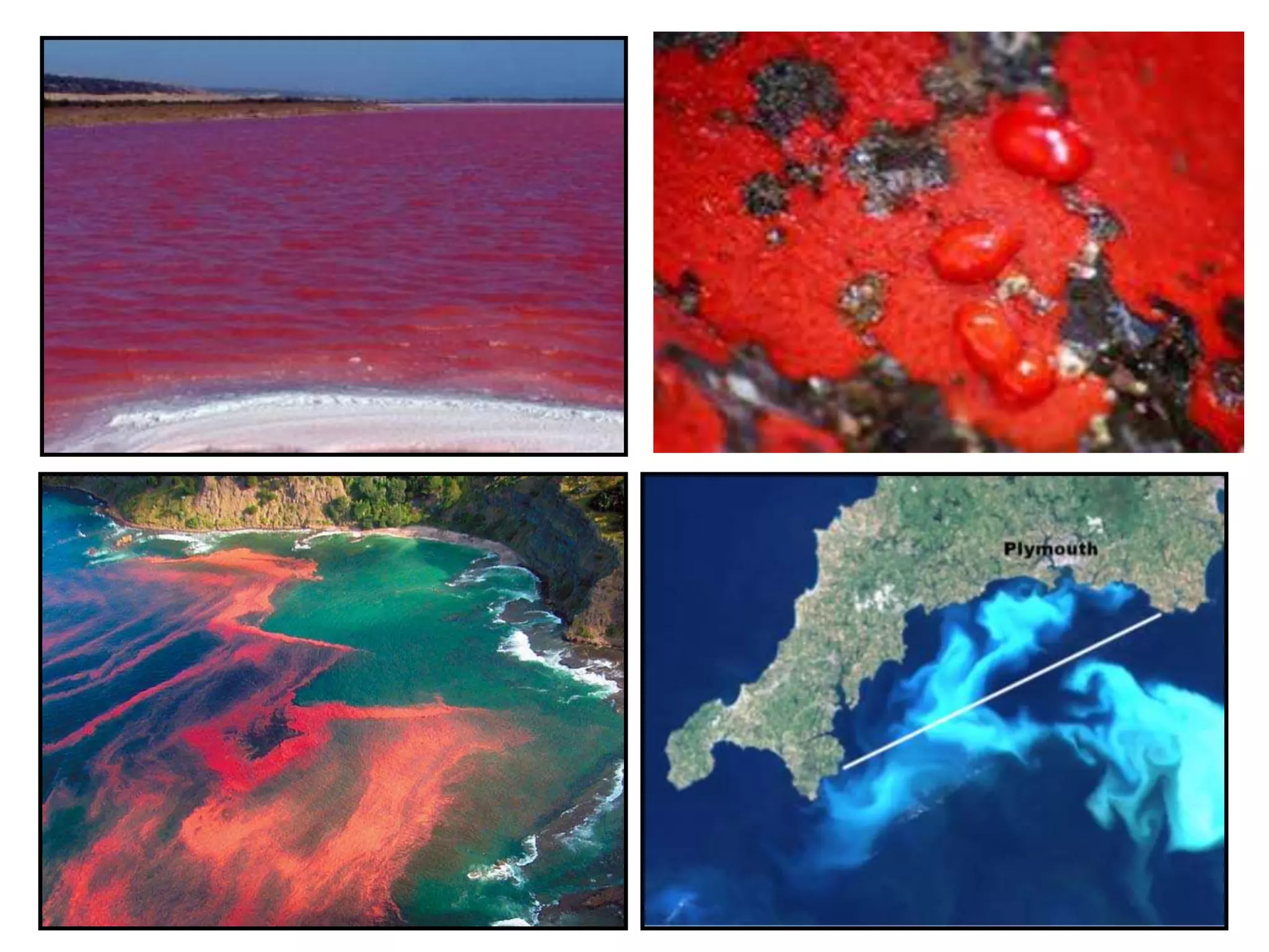 DEPOSITIONAL_ENVIRONMENTS_Lesson_07 | PPTX
