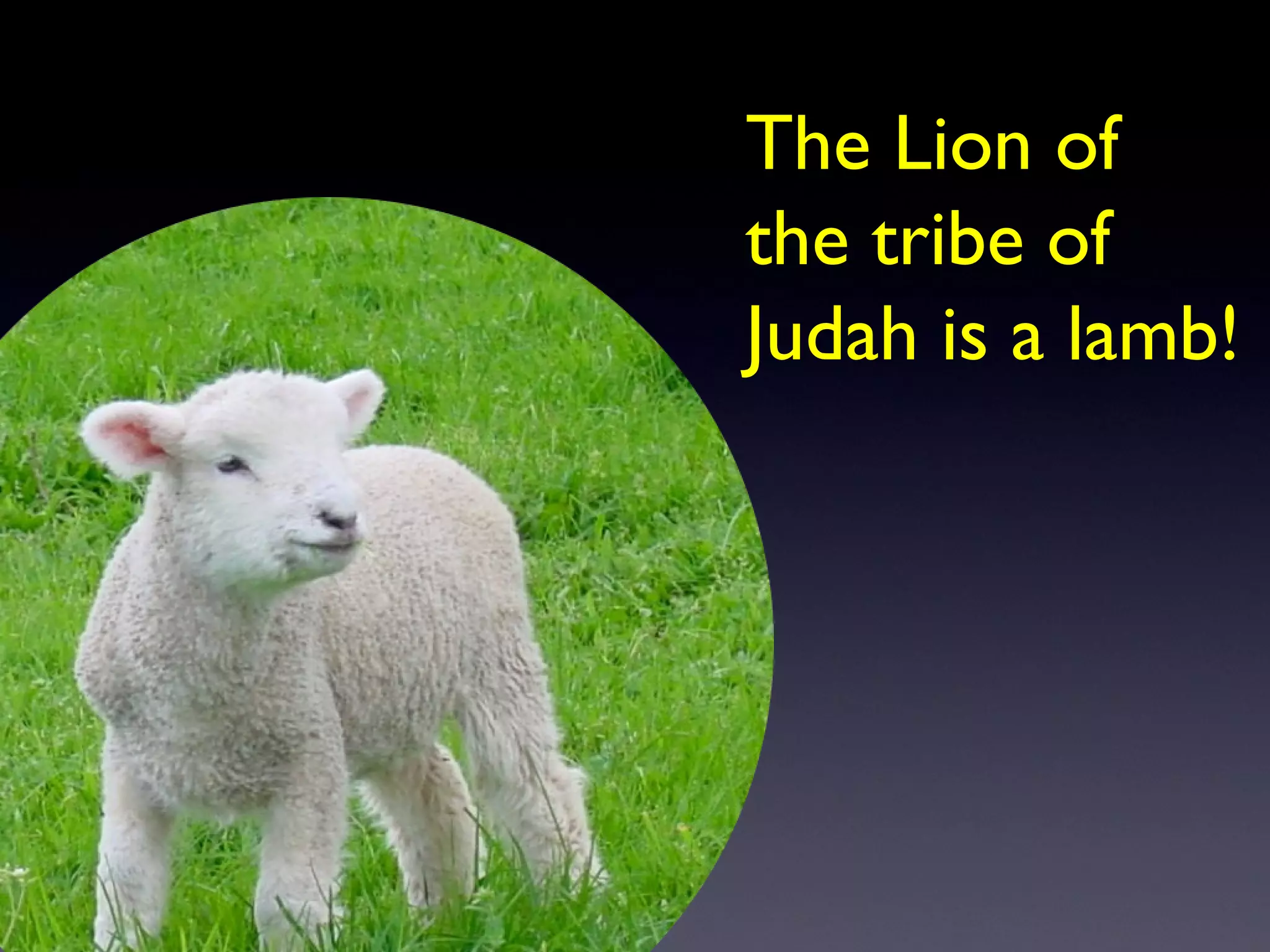 Lesson 1 — The Lion and the Lamb | PPT