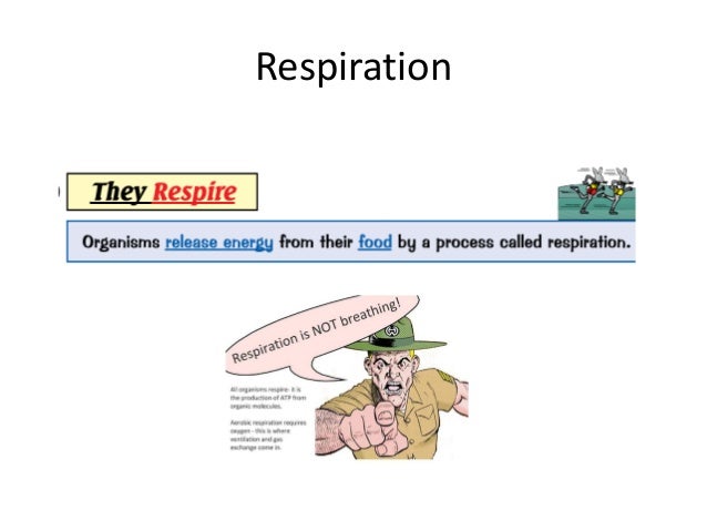 Lesson 1 1.1 characteristics of living things