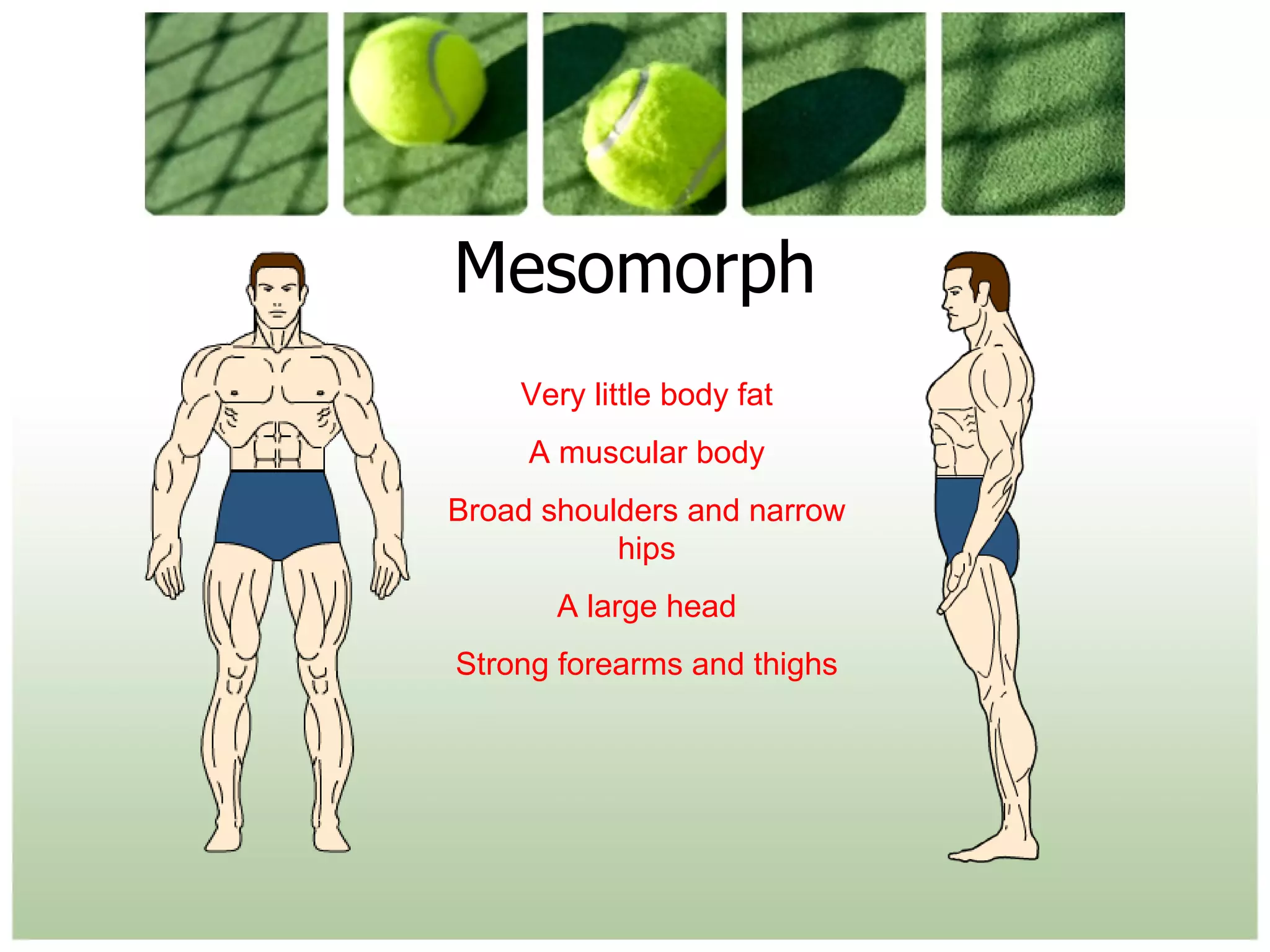 1.2.1 Lesson 1 - somatotypes | PPT