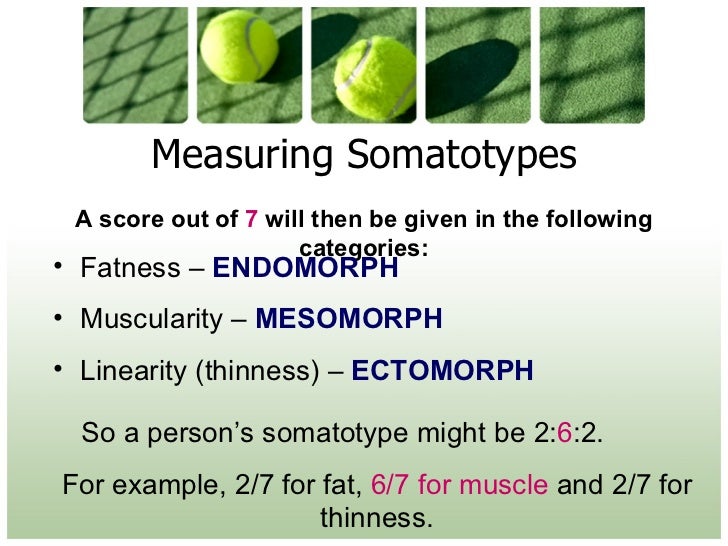 1.2.1 Lesson 1 - somatotypes