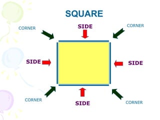 2D Shape | PPT