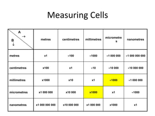 AS Lesson 1 - Biological Drawings | PPTX