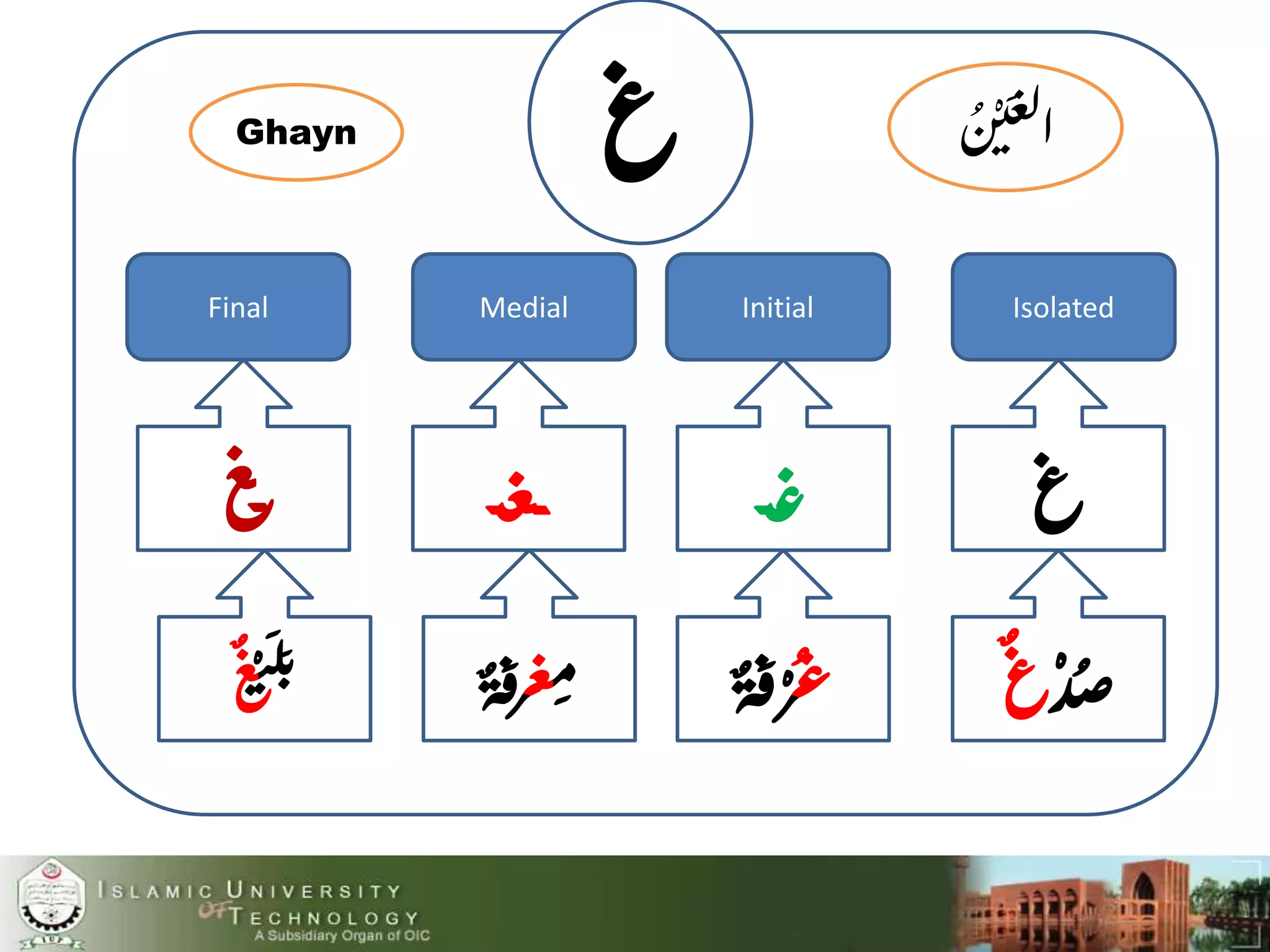 Arabic alphabet and their shapes | PPTX