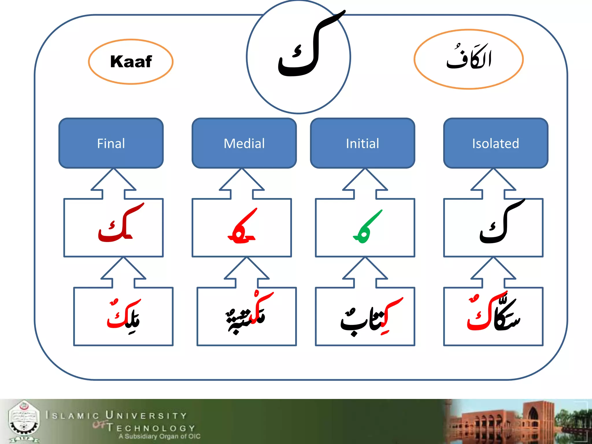 Arabic alphabet and their shapes | PPTX