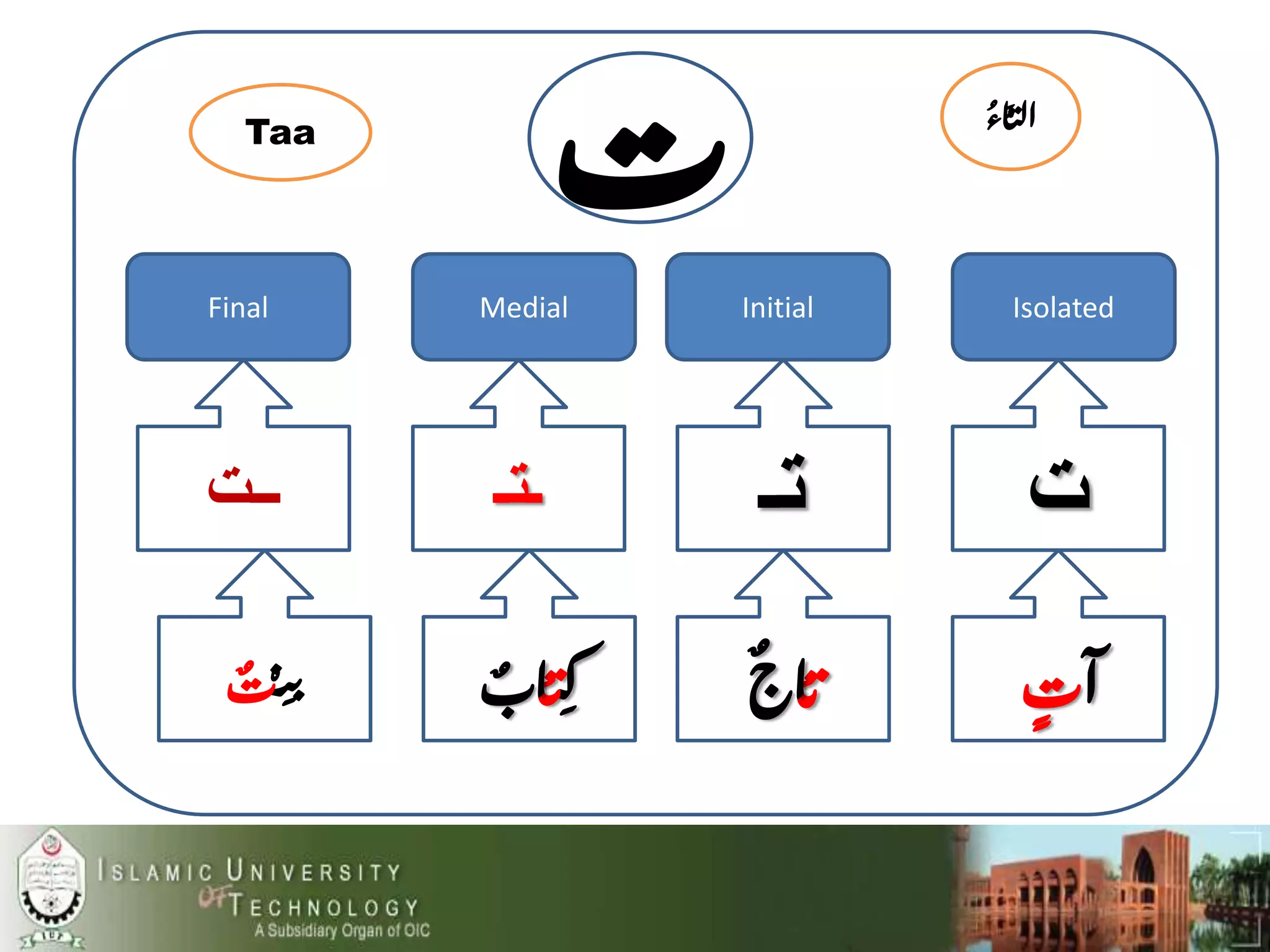 Arabic alphabet and their shapes | PPTX