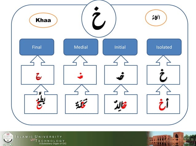 Arabic alphabet and their shapes | PPTX