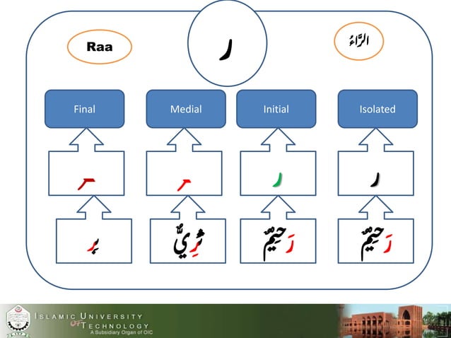 Arabic alphabet and their shapes | PPTX