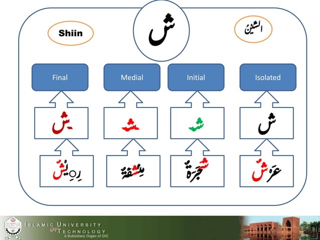 Arabic alphabet and their shapes | PPTX