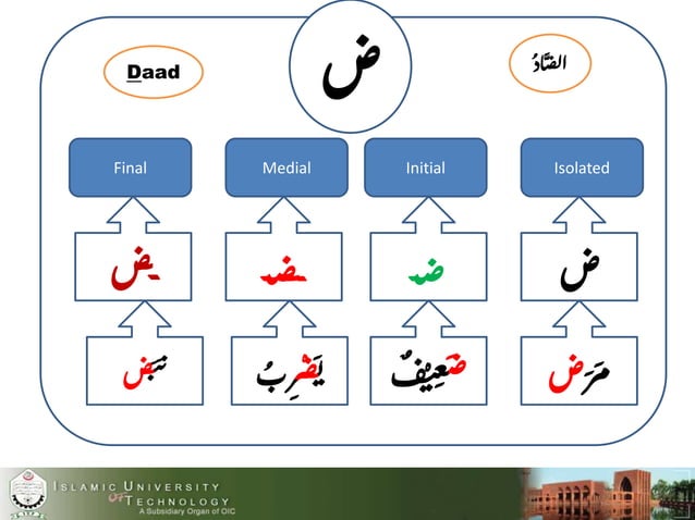 Arabic alphabet and their shapes | PPTX