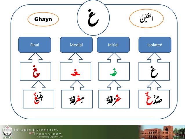Arabic alphabet and their shapes | PPTX