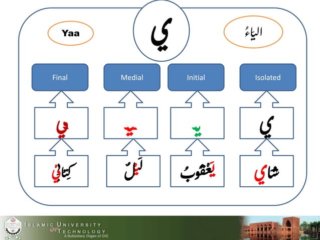 Arabic alphabet and their shapes | PPTX