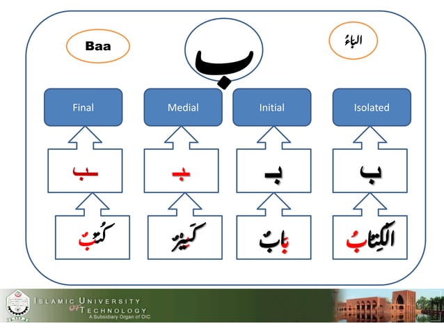 Arabic alphabet and their shapes | PPTX
