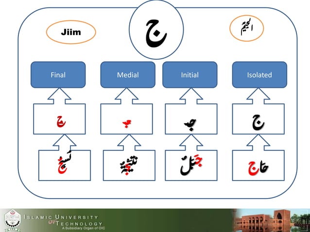 Arabic alphabet and their shapes | PPTX
