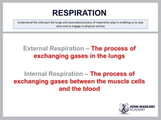 Lung Function | PPTX