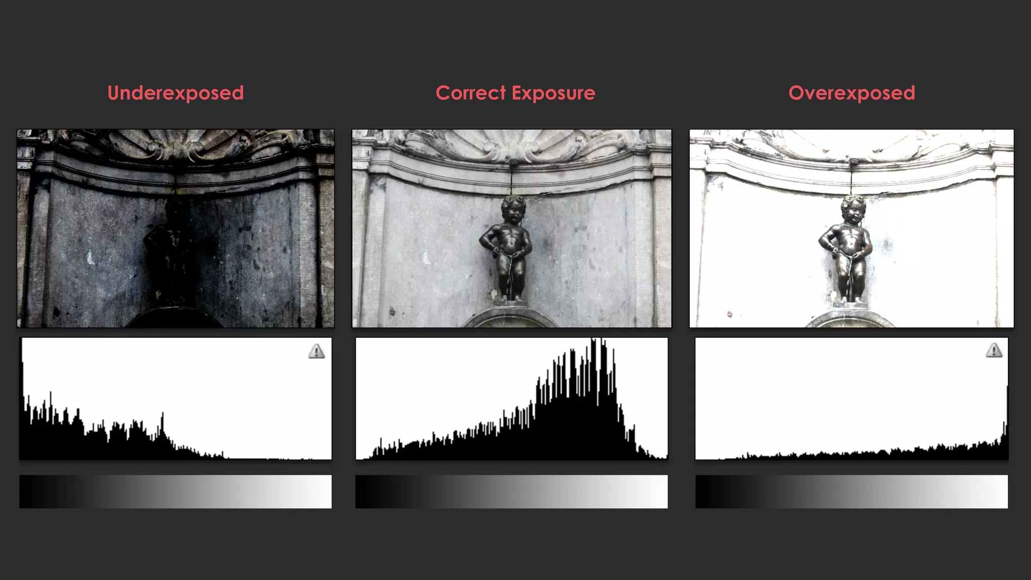 Lesson 1 • Introduction to Photoshop | PDF