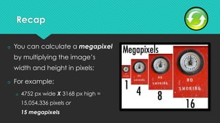 Lesson 1 • Introduction to Photoshop | PDF