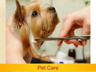 Lesson 1 - Principles of Marketing | PPTX