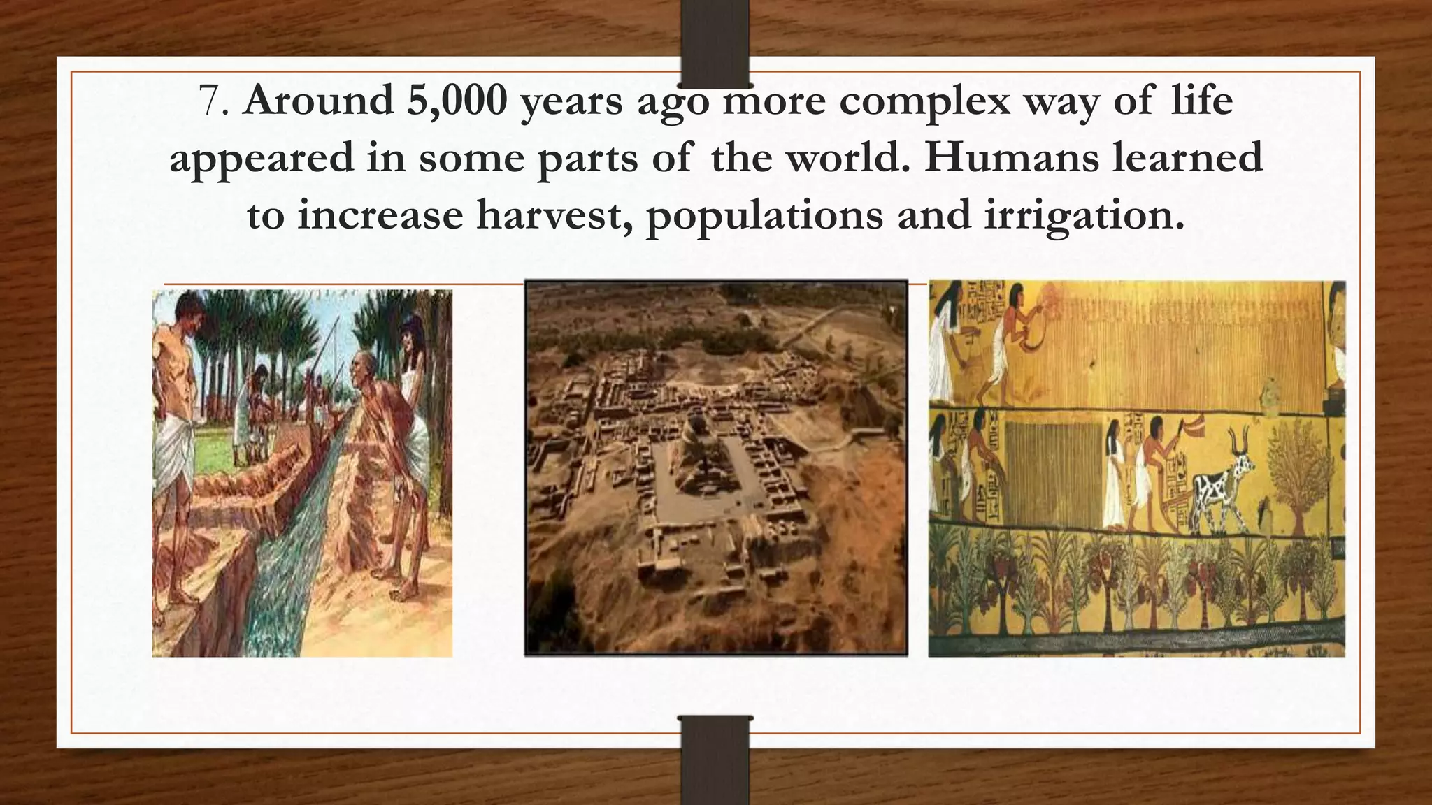 Lesson 1 | PPTX | Biological Sciences | Science