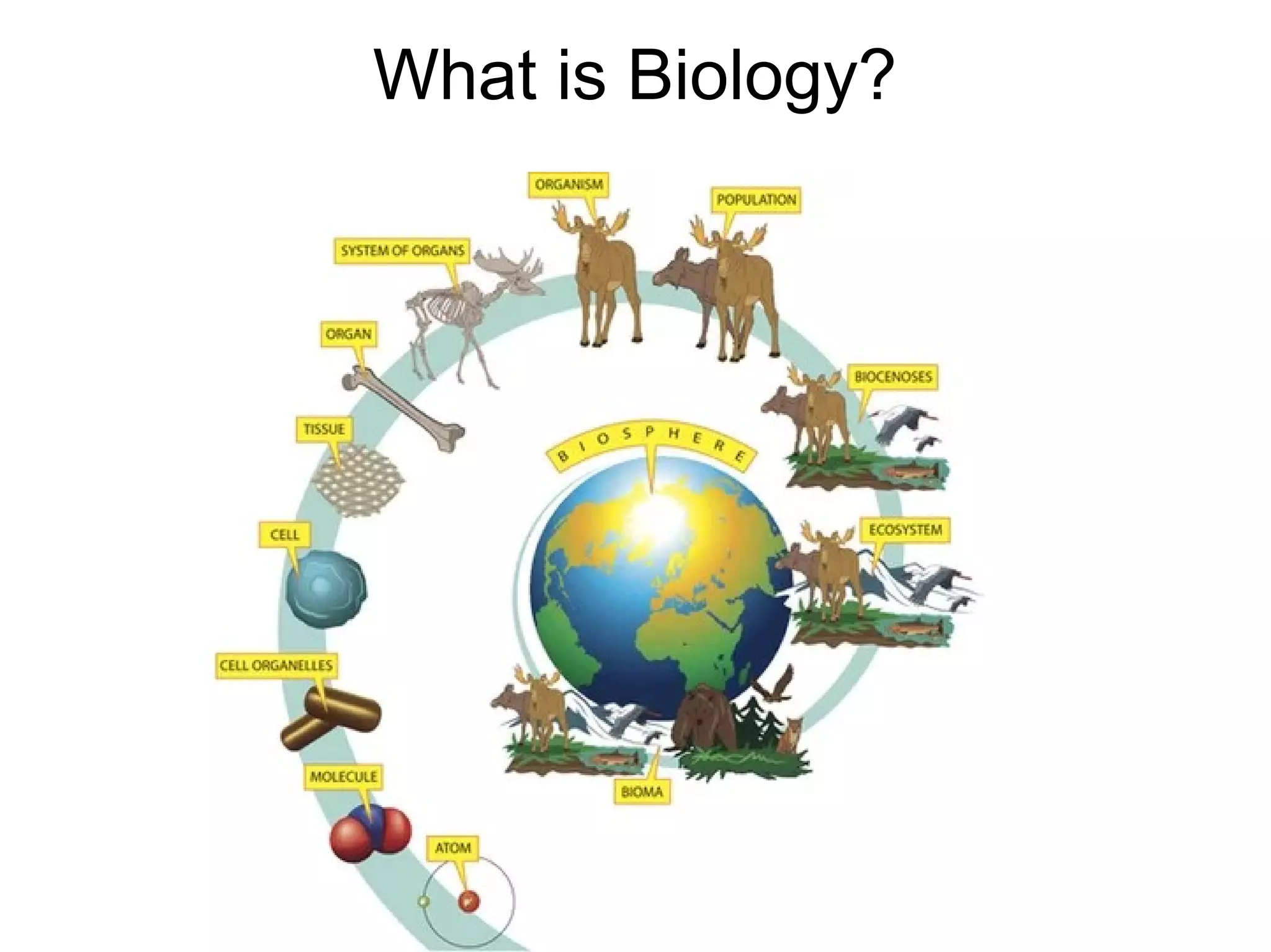IGCSE Biology 0610 - Introduction to Biology - Characteristics of ...
