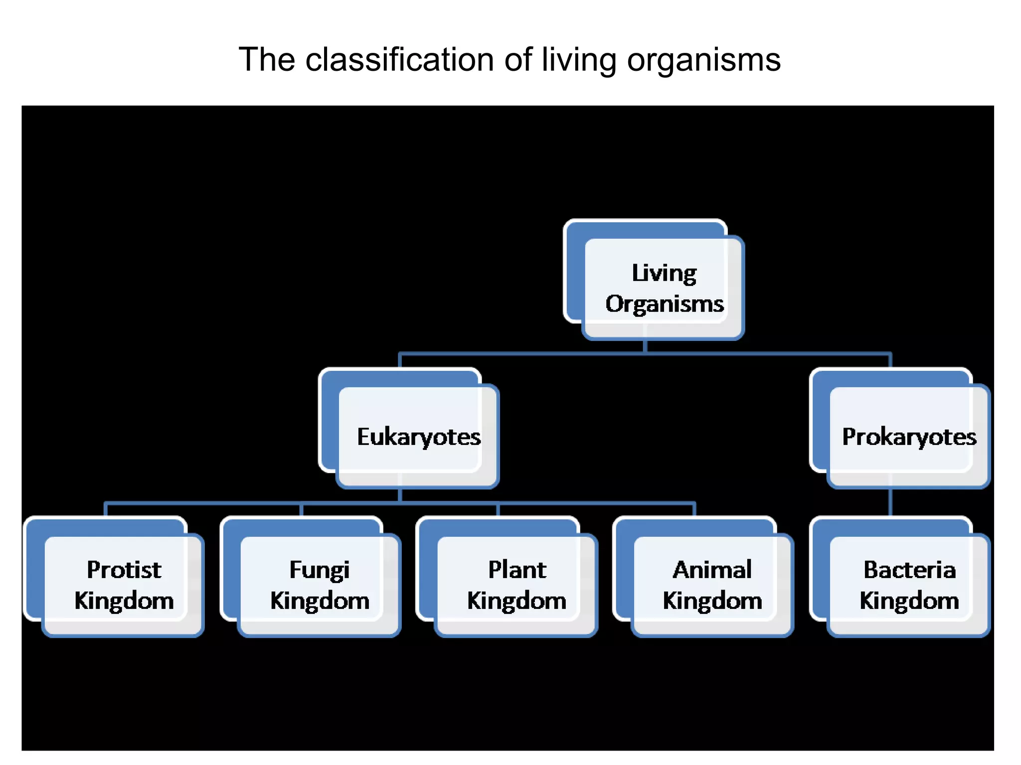 IGCSE Biology 0610 - Introduction to Biology - Characteristics of ...
