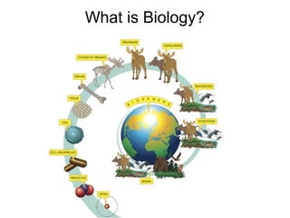 IGCSE Biology 0610 - Introduction to Biology - Characteristics of ...