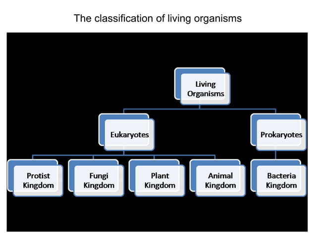 IGCSE Biology 0610 - Introduction to Biology - Characteristics of ...