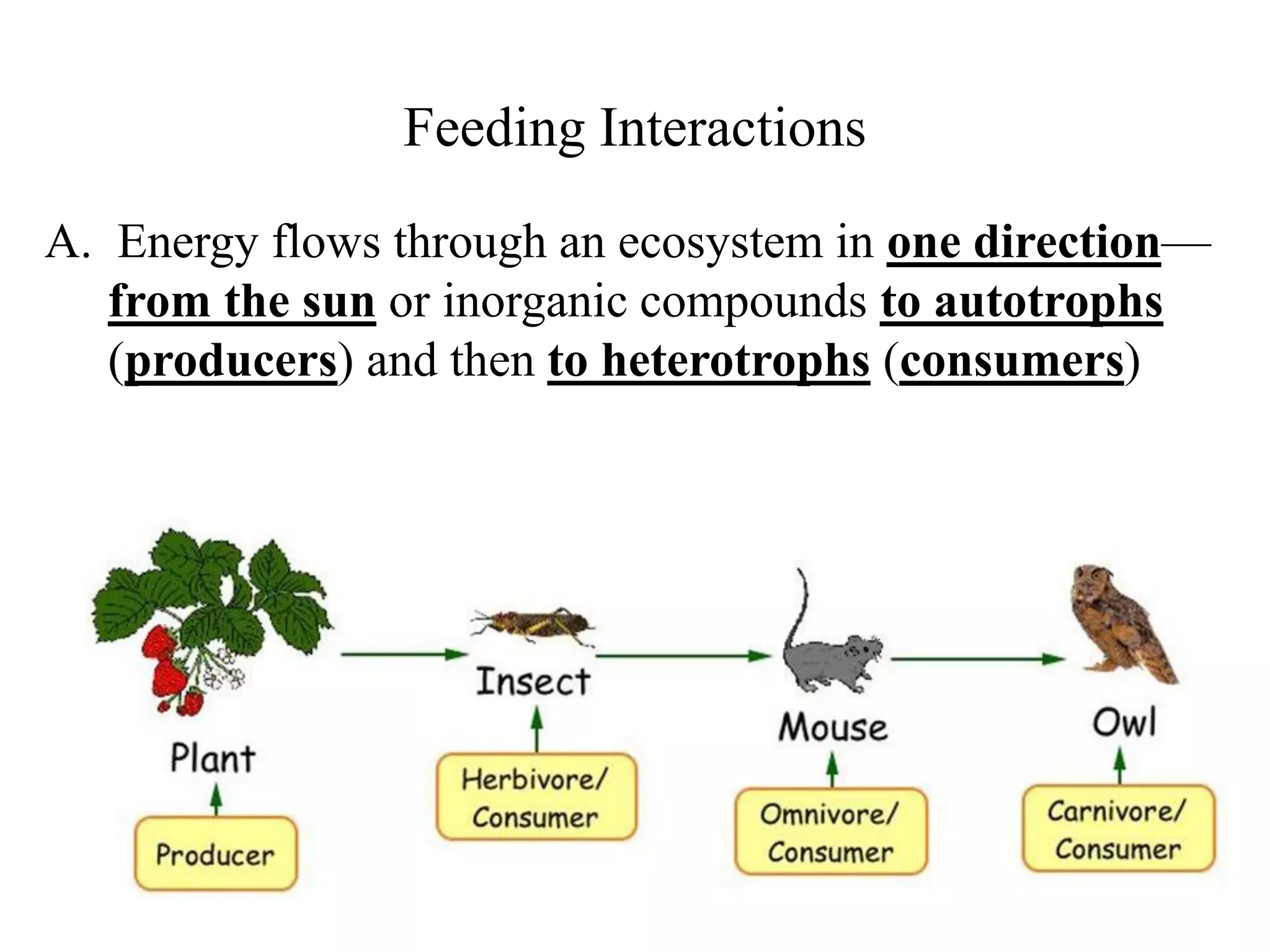Lesson 1. concept of ecology | PDF
