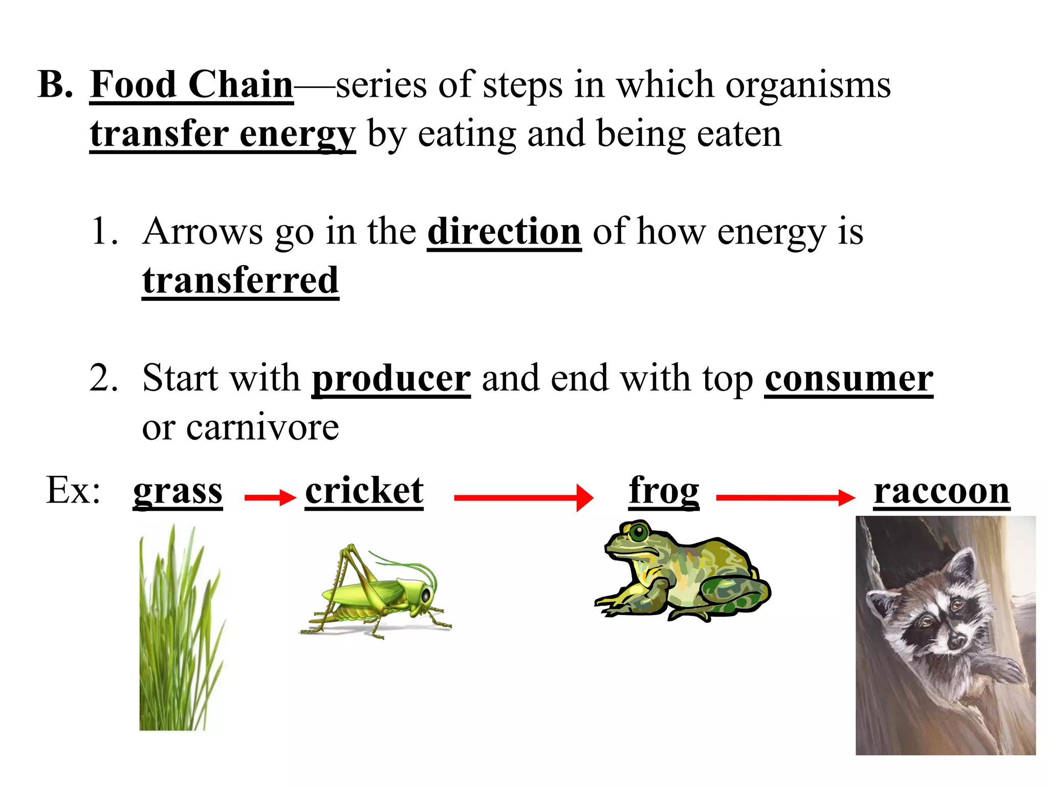 Lesson 1. concept of ecology | PDF