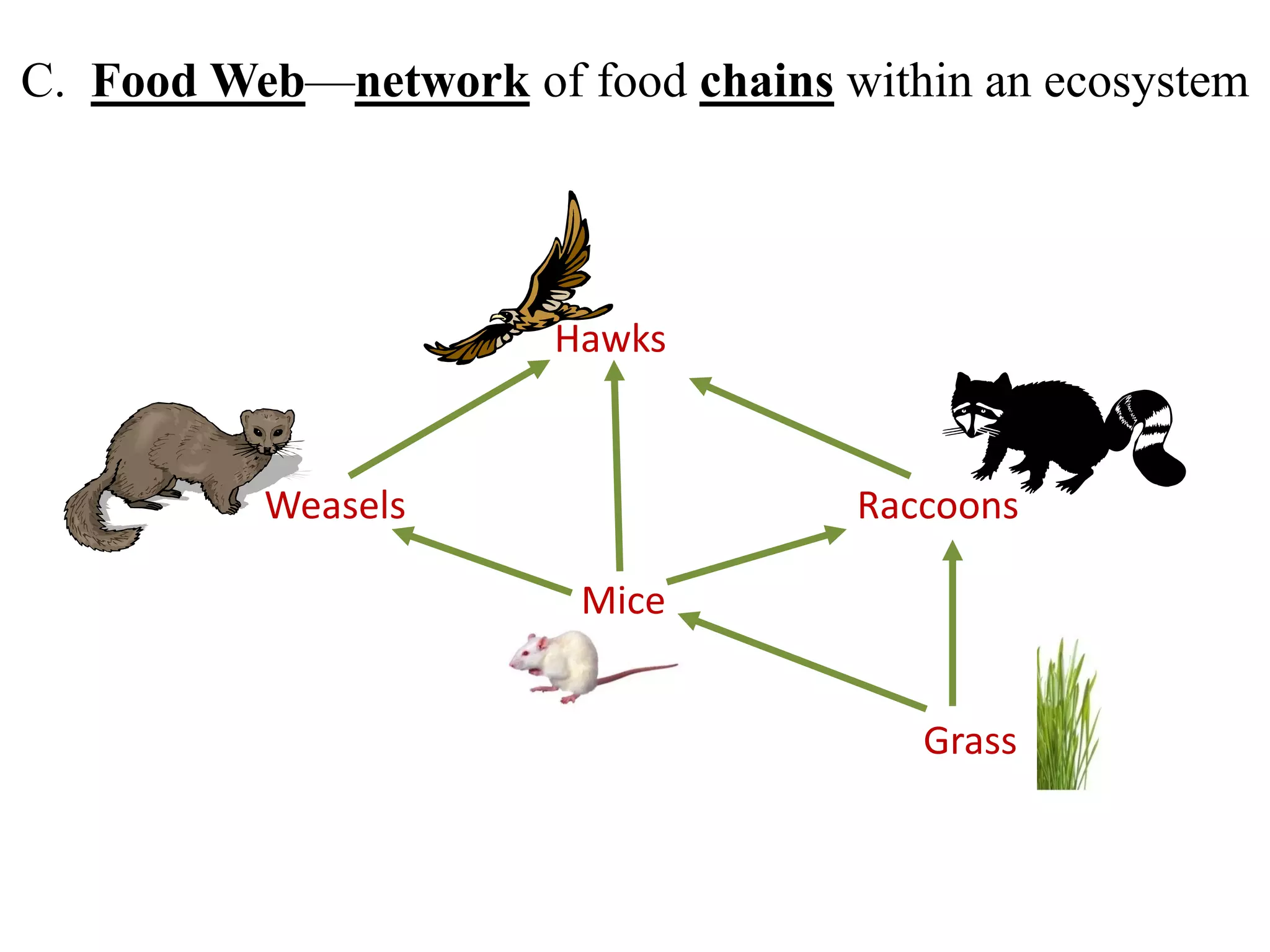 Lesson 1. concept of ecology | PDF
